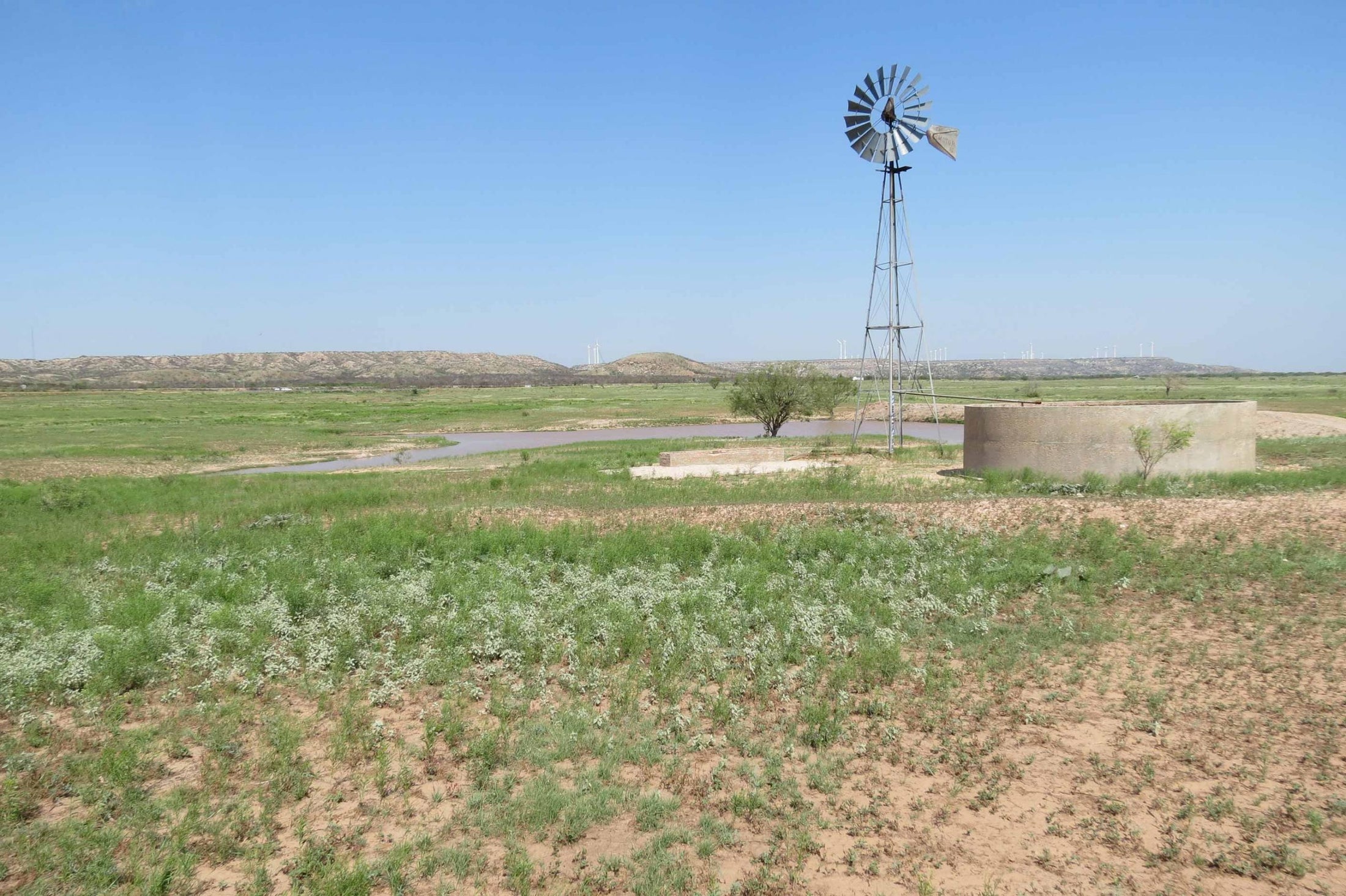 Our Story | Covered S Ranch