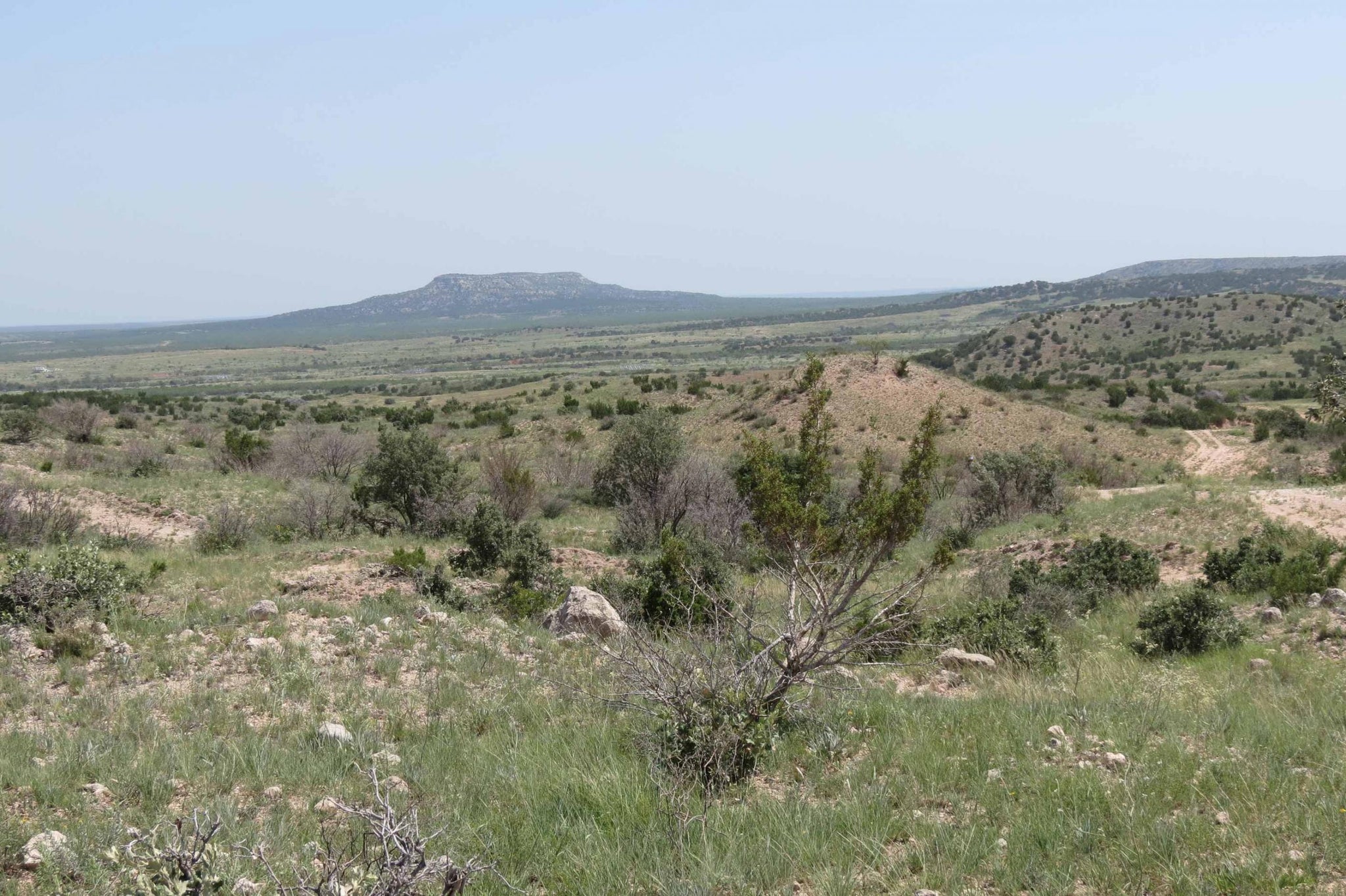 Our Story | Covered S Ranch