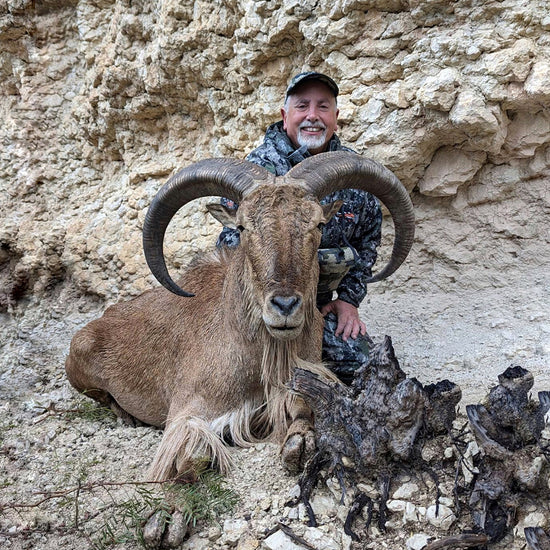Aoudad Sheep Hunting in Texas | Covered S Ranch