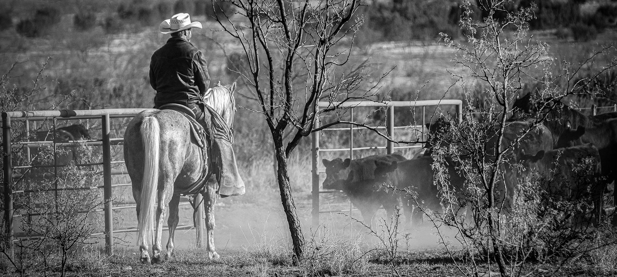 Our Story | Covered S Ranch