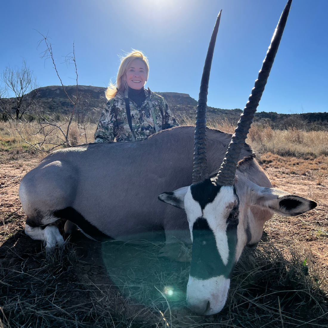 Exotics Gallery – Covered S Ranch