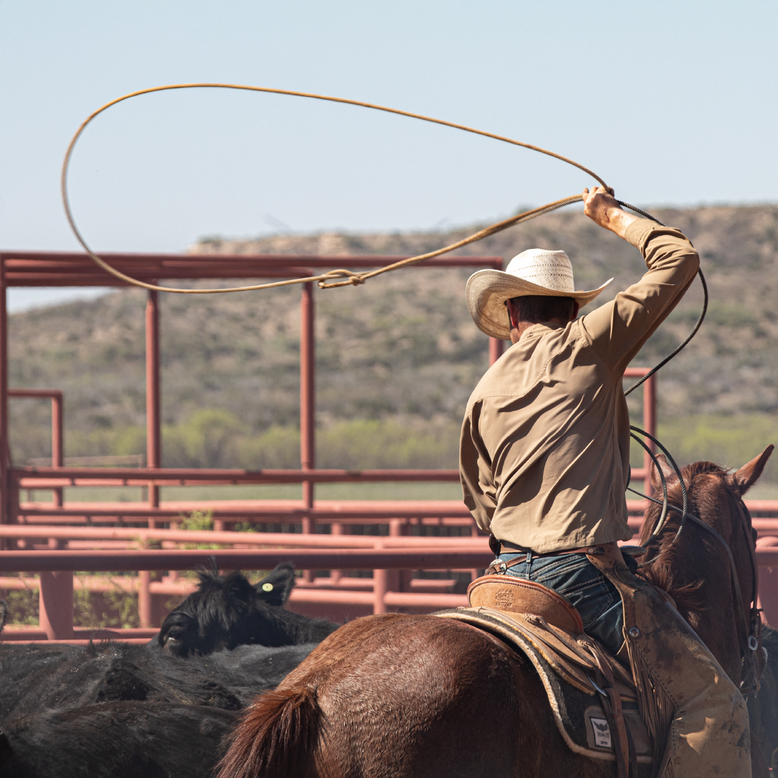 Cowboying Gallery – Covered S Ranch
