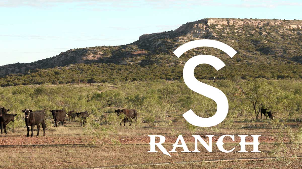 Schedule Your Ranch Hunting Experience with the Covered S Ranch