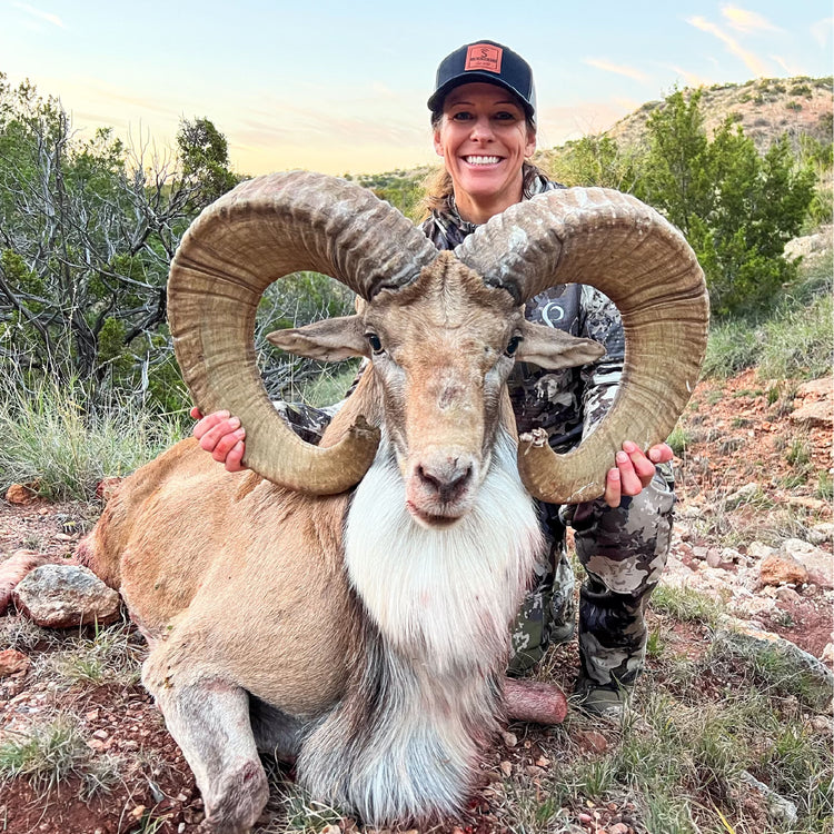 Transcaspian Urial Hunting in Texas | Covered S Ranch